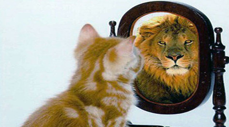 Megalomani contemporanei – Il blog di Alessandro Bertirotti